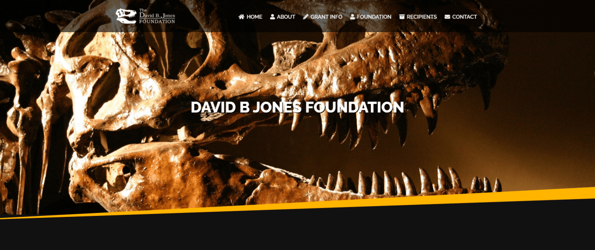 David B. Jones Foundation – Flame Dreamer Art